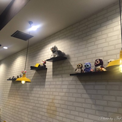 รวมร้านสาขาของ Cheese Owl - ปิ้งย่าง