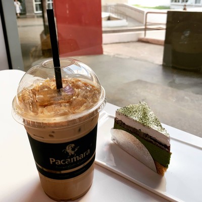 รวมร้านสาขาของ PACAMARA (พาคามาร่า) - ร้านกาแฟ/ชา - Wongnai