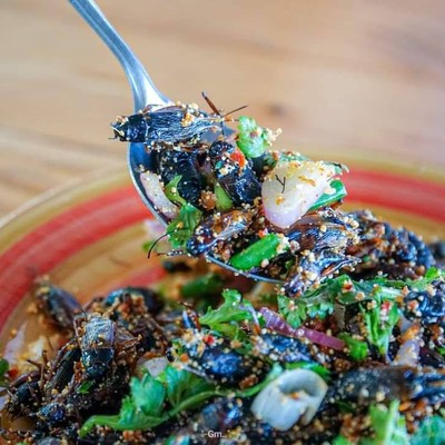 รีวิว ครัวเจ๊ปูอาหารป่า - อาหารป่า จิ้งหรีดไข่ อร่อย ราคาไม่แพง มีหลาก ...