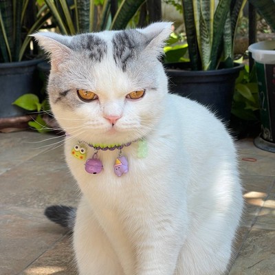 เมนูของร้านอาหาร Roastchart special coffee and matcha