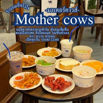 ร้าน Mother Cows บรรทัดทอง | รีวิวร้านอาหาร