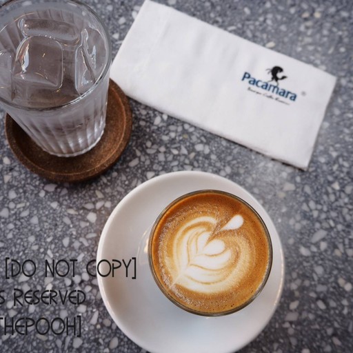 รวมร้านสาขาของ PACAMARA (พาคามาร่า) - ร้านกาแฟ/ชา - Wongnai