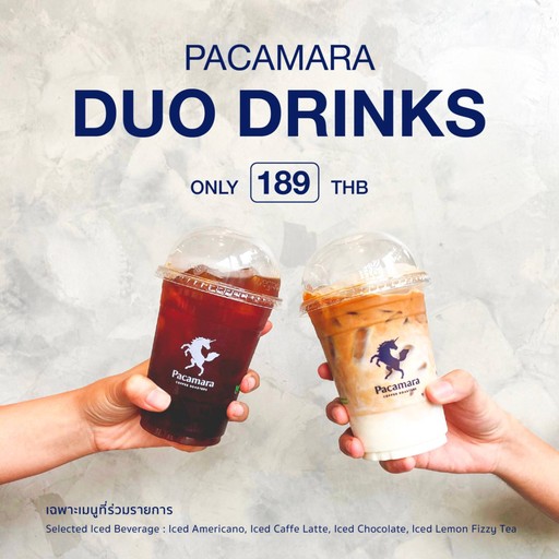 รวมร้านสาขาของ PACAMARA (พาคามาร่า) - ร้านกาแฟ/ชา