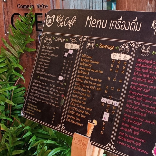 เมนูของร้านอาหาร Red Cat Cafe ฉะเชิงเทรา - Wongnai