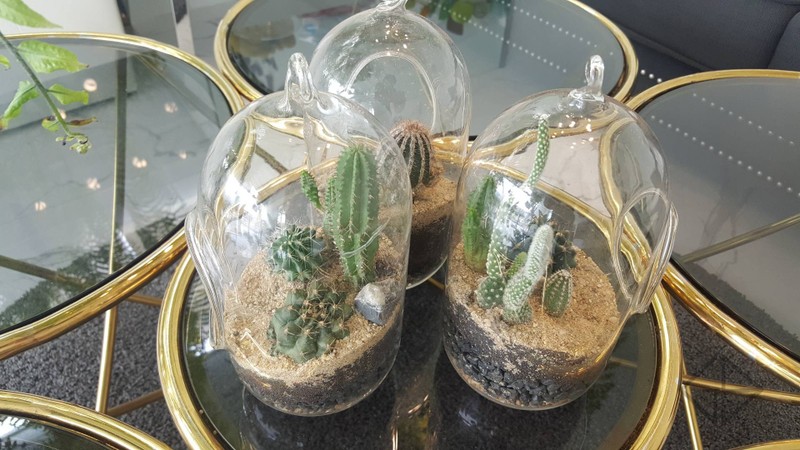 รูป De Facto Cafe and Eatery อาหารไทย-ฟิวชั่น x กาแฟสด รังสิตคลองสาม