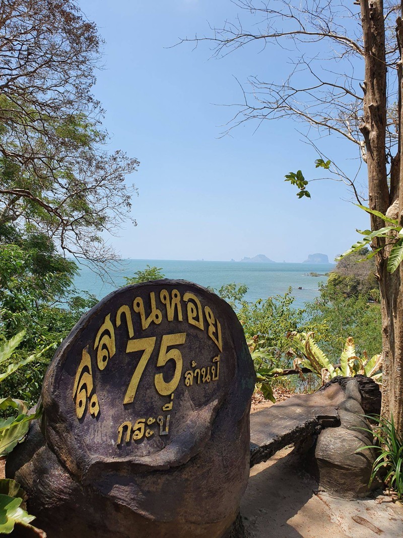 สุสานหอย (Fossil Shell Cemetery Krabi) - รีวิวสถานที่ท่องเที่ยว