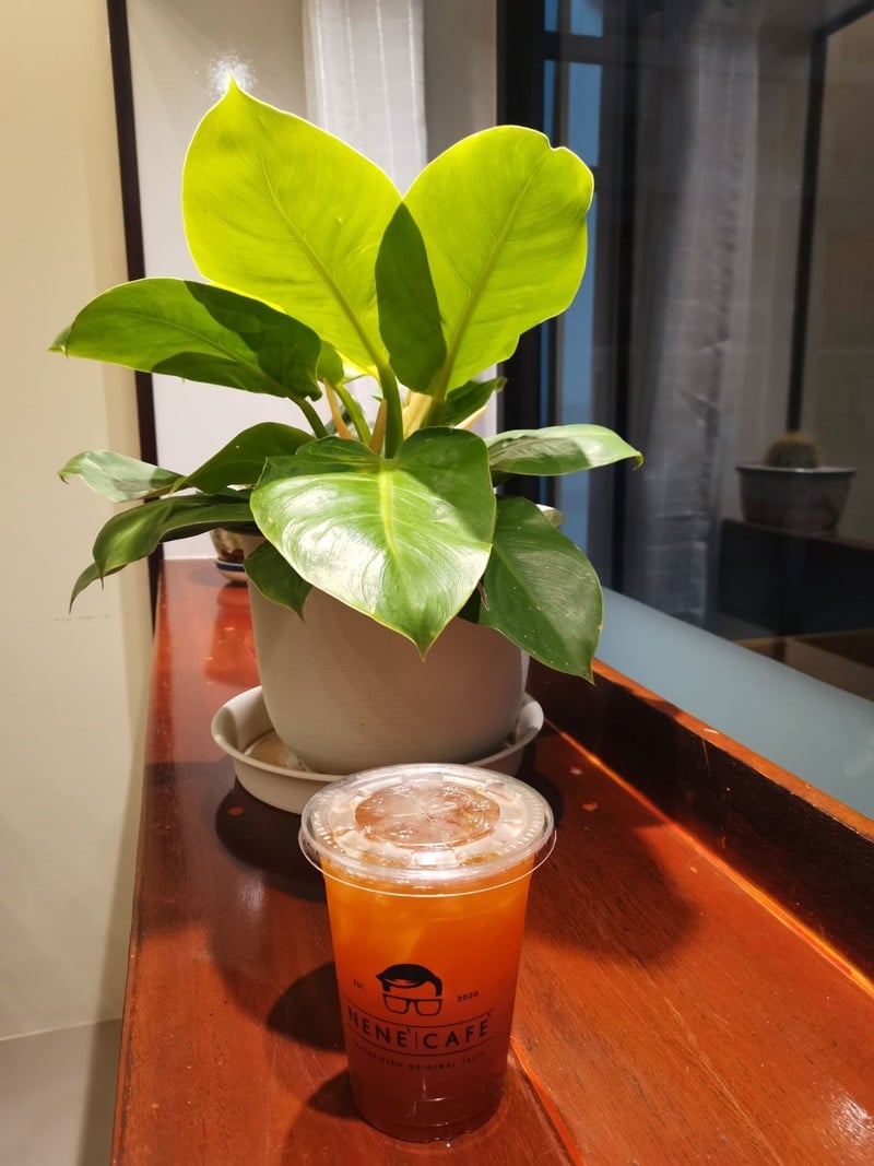 รูป NENE' CAFE' พระนครศรีอยุธยา - Wongnai