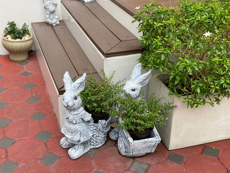 รูป Seven Rabbit Coffee & Tea Pattanakarn 53