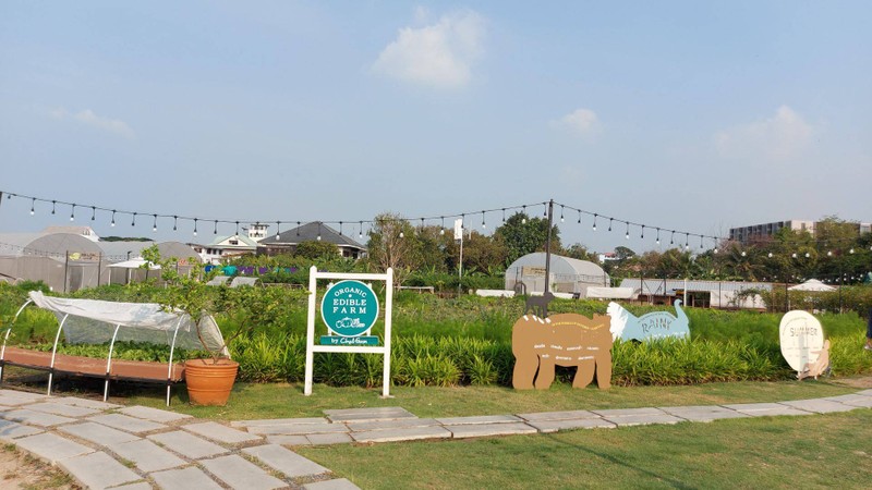 รูป My Backyard Farm & Bistro My Backyard Farm & Bistro - Wongnai