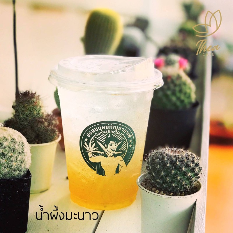 ร้าน THEA CAFE | รีวิวร้านอาหาร - Wongnai