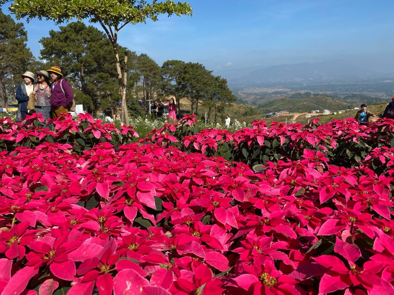 รูป GB Farm - Wongnai