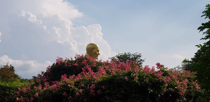 รูป Pete Maze - Wongnai