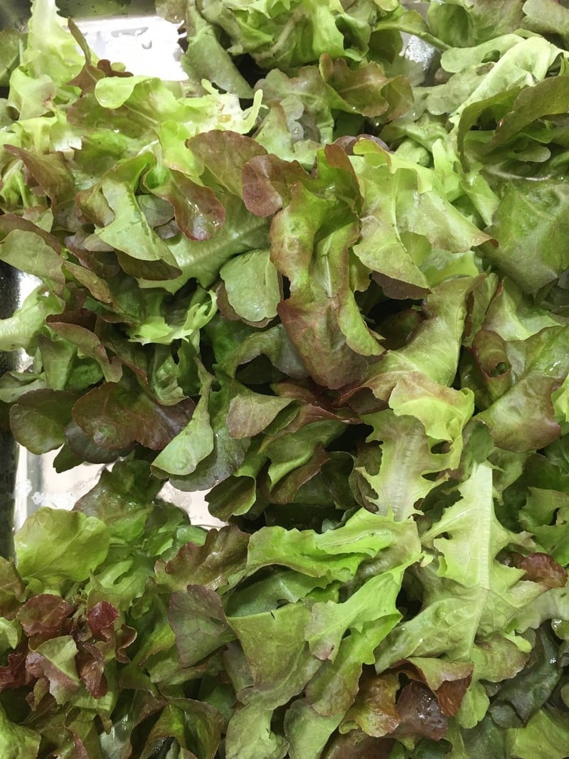 รูป สลัดบาร์ คาเฟ่