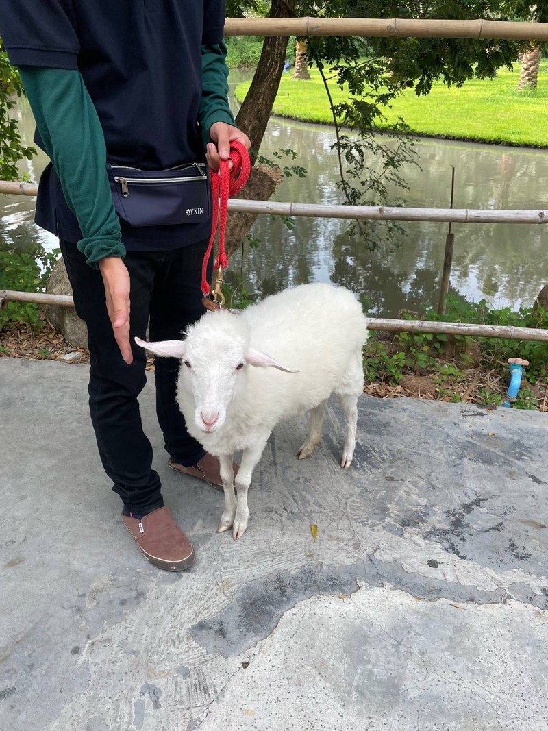 รูป Du Bua Smartfarm